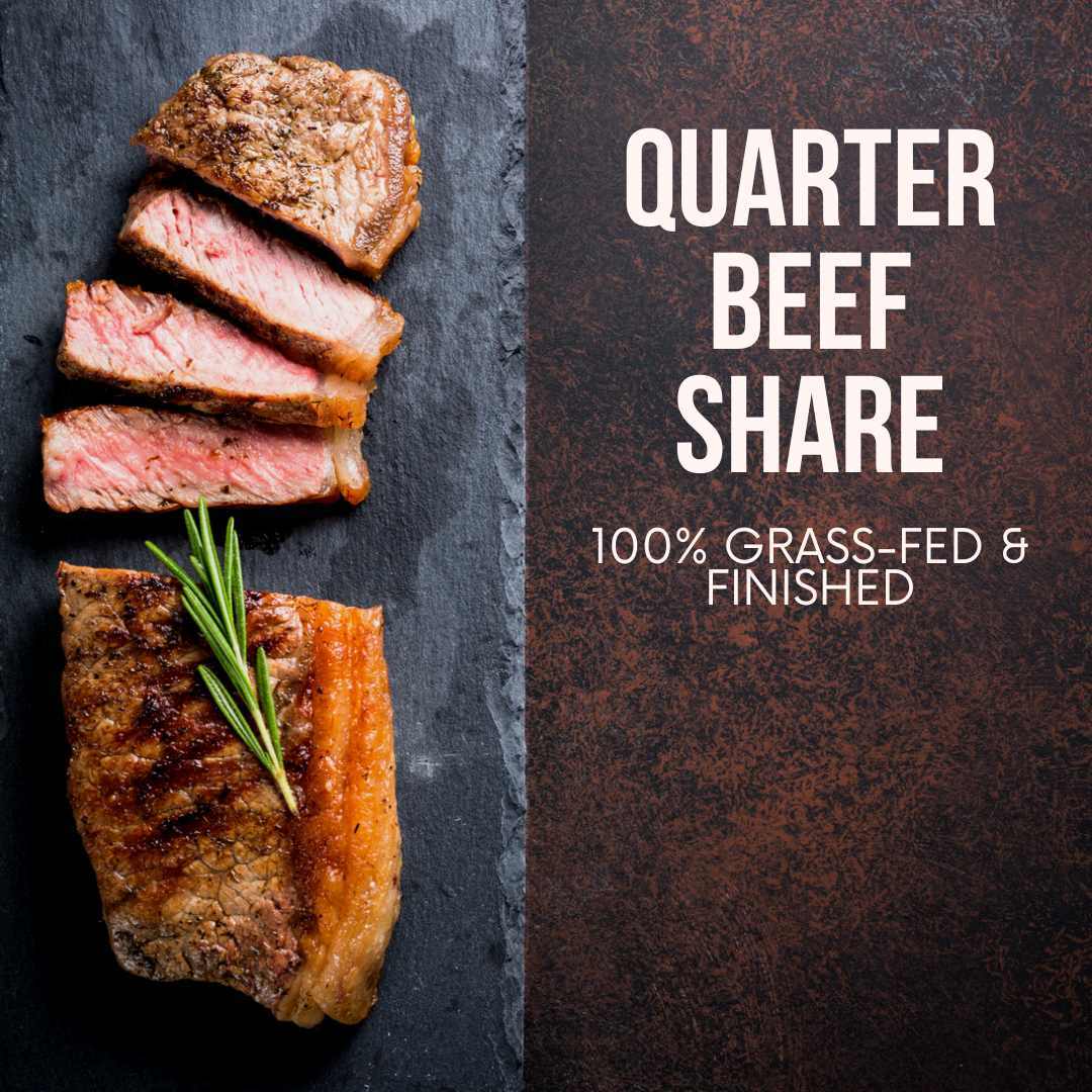 Quarter Beef Share | Jubilee Farm